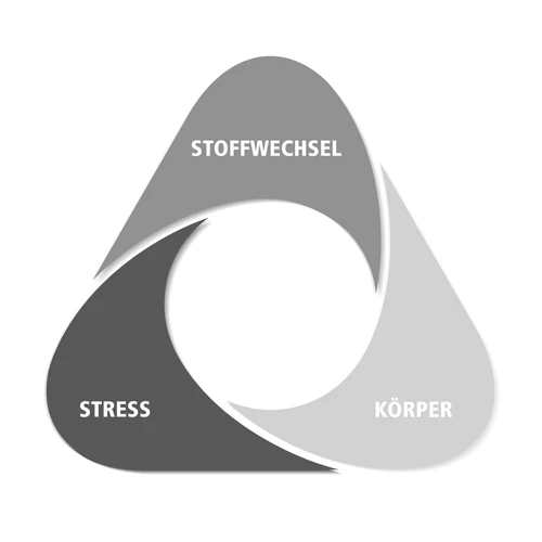 Methodik - Thematischer Hintergrund – Stoffwechselmessung